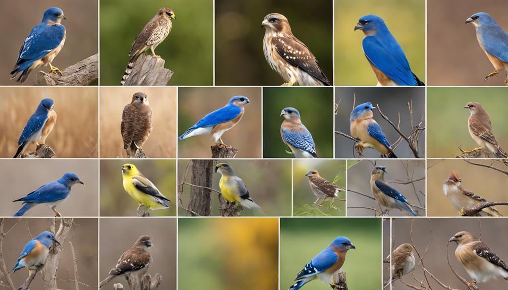 Top 15 Types Of Birds In Iowa (With Pictures) - Fly Aviary